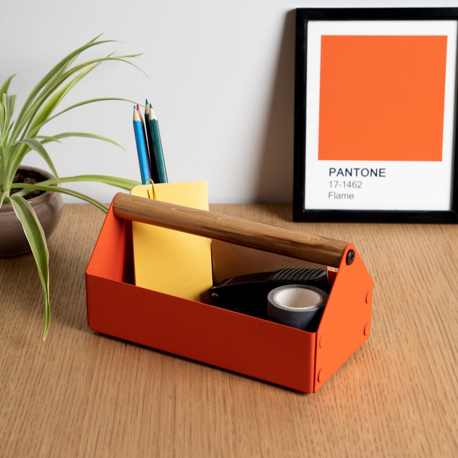 Intact - Carry Storage Box